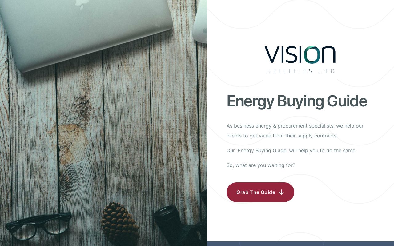 Vision Utilities Energy Buying Guide